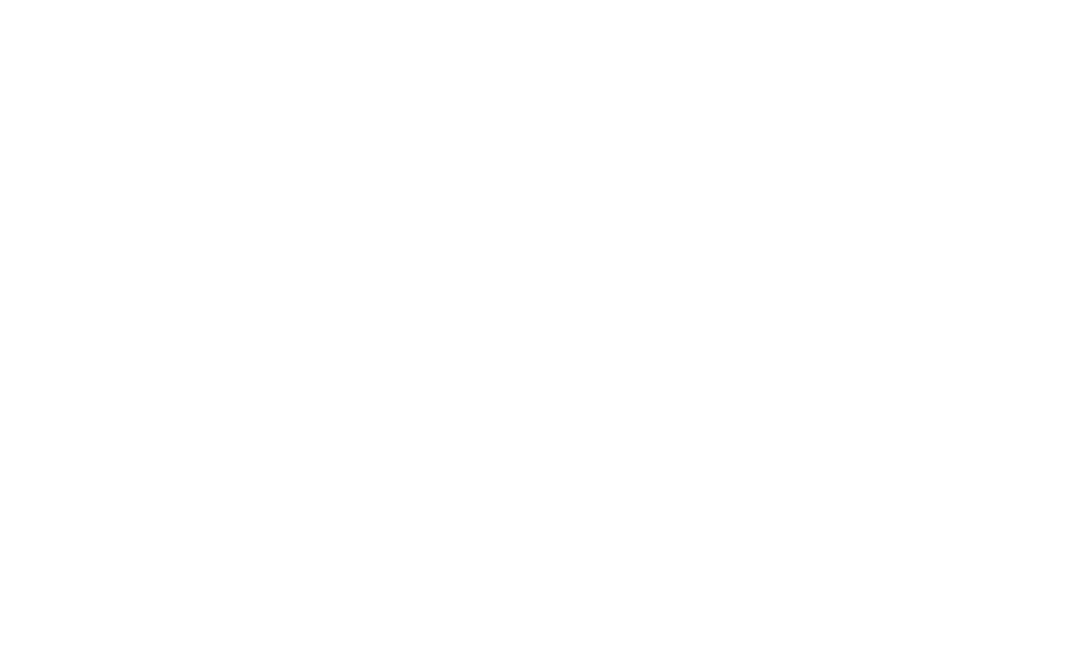 Expanding Loudoun County's Appeal: Madden Media’s Influencer Marketing ...